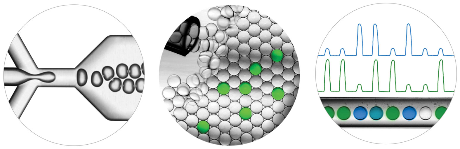 Trainings | Genesmart Technologies